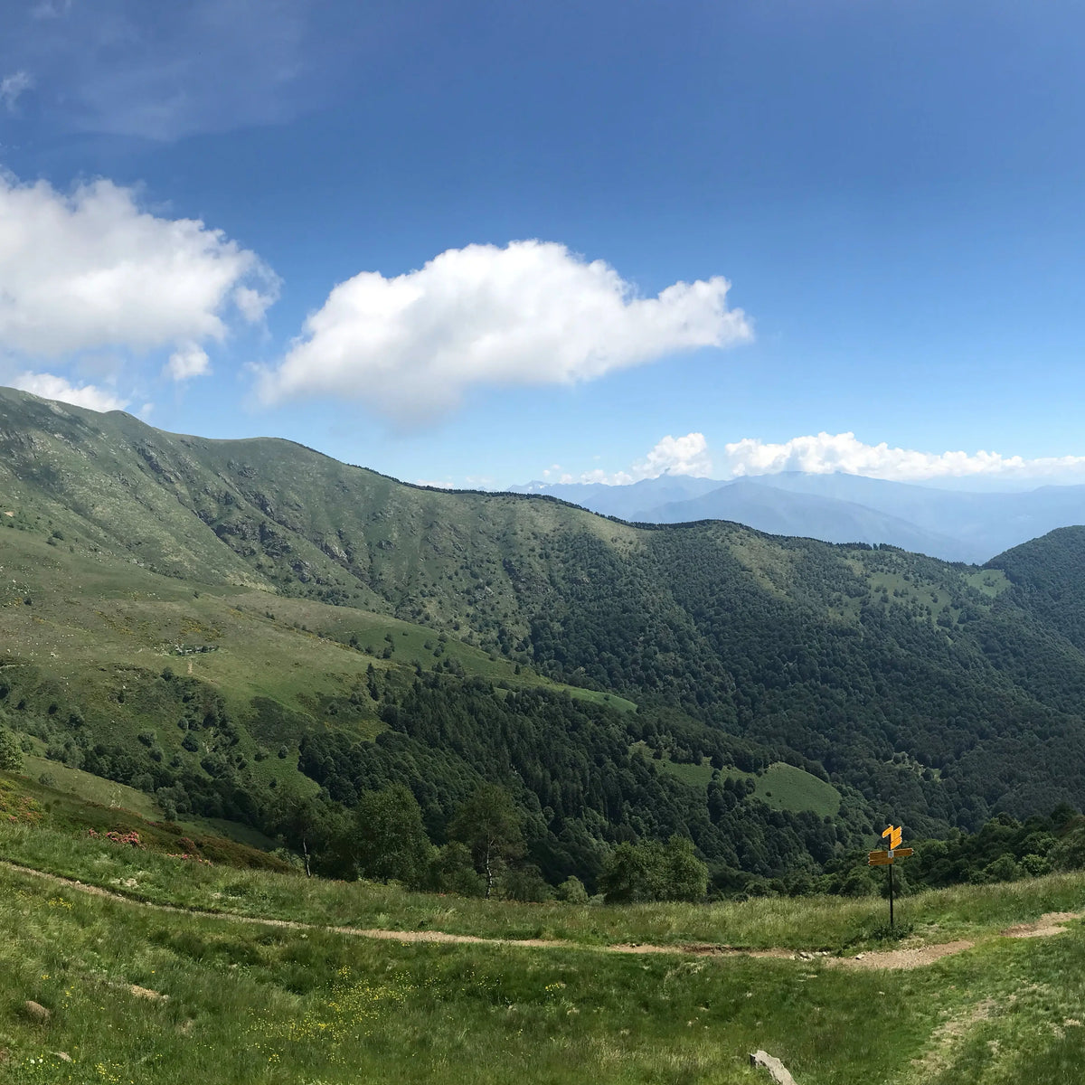 Ben Brockman Playing Wilder in Italy │ Wilder News – Find Your Feet